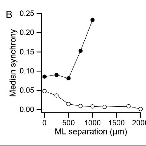 Dcn Projection Groups Show High Cs Synchrony Levels A Plot Of Mean