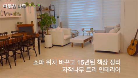 거실 쇼파위치 바꾸고 15년된 책장 정리 자작나무 트리 인테리어 Youtube