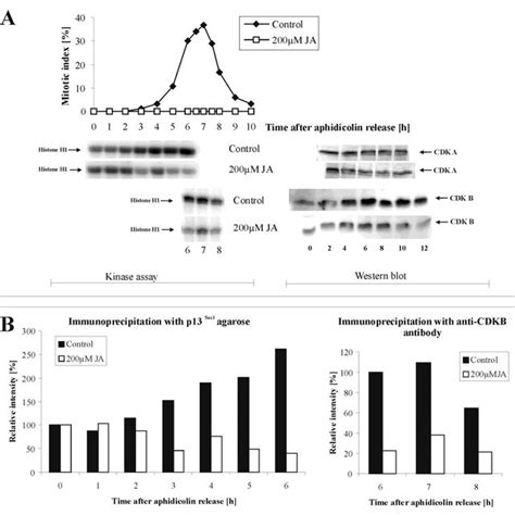 Scheme Of Synchronization Protocol With Subsequent Block And Release Of Download Scientific