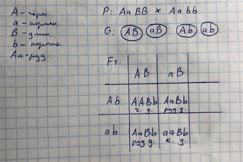 Розвяжіть будь ласка терміново генетичну задачу за алгоритмом розвязання повинно бути повним з