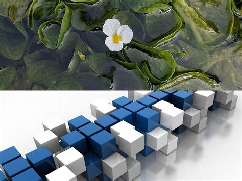 详解开发设计软件的核心原则