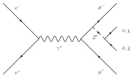 Feynman diagram for a Z produced in e e µ µ events and Download Scientific Diagram
