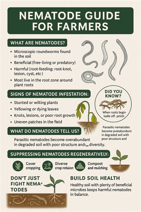 Nematodes A Farmers Friend
