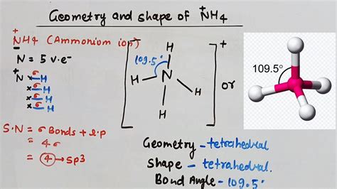 Ammonium Ion Bond Angle