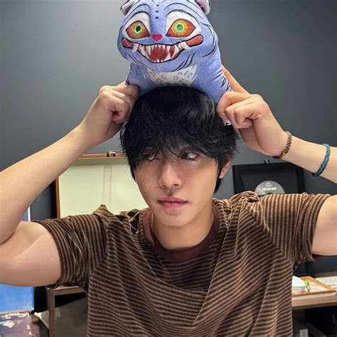 더쿠 안효섭 인스타에 올라온 케데헌 더피 호랑이 굿즈