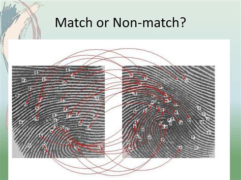 Ppt Fingerprint Recognition Using Matlab Using Minutiae Matching