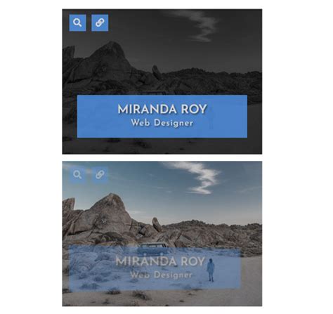 CSS Image Hover Effects With Text Animation Example