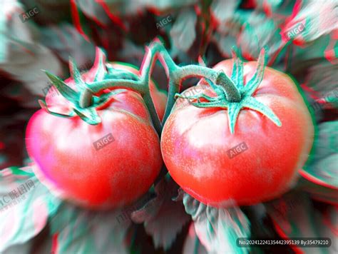 Ai创作图动感西红柿 写实西红柿 然成熟的面西红柿 西红柿抠图 西红柿效果图 光影西红柿 番茄的营养 连着的两只番茄 番茄特写图片 西红柿包装插画 高清西红柿特写 高清番茄特写 西红柿特写图片