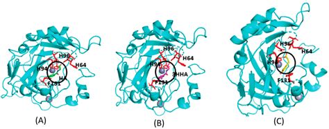 Metabolites Free Full Text Unraveling Protein Metabolite