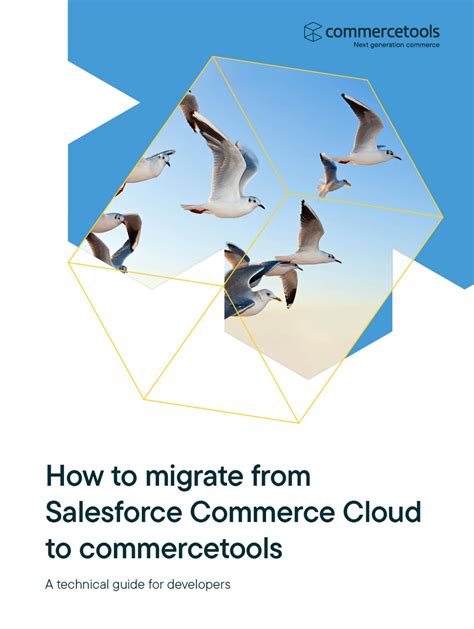 Salesforce Commerce Cloud Migration Guide White Paper Commercetools