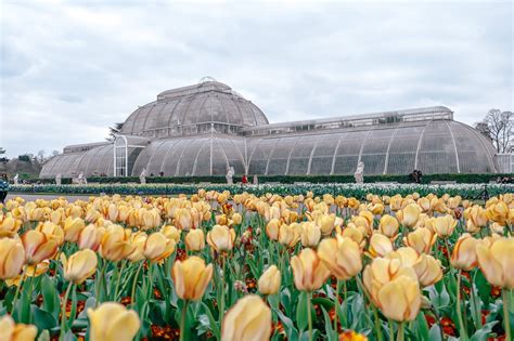Kew Gardens, - Heroes Of Adventure