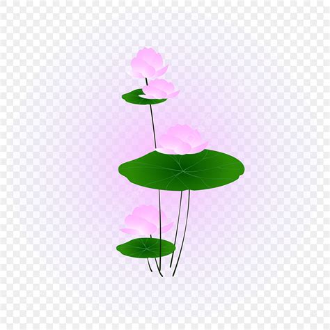 로터스 여름 절묘한 신선한 연꽃 연꽃 잎 잠자리 Png 일러스트 및 벡터 에 대한 무료 다운로드 Pngtree