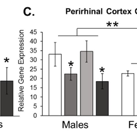 Perirhinal Gene Expression In Male And Female Rats Exposed To Alcohol Download Scientific