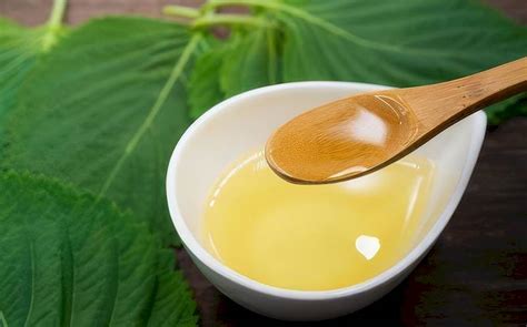 들기름의 칼로리 구성과 일일 섭취량 다이어트 Nofat