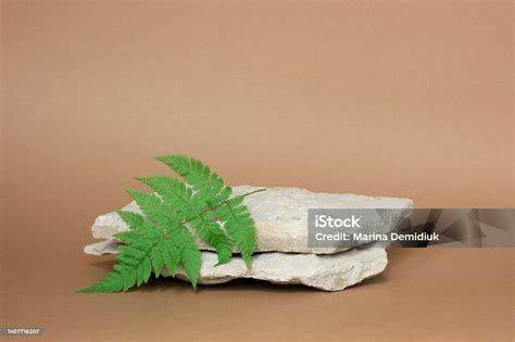 베이지 색 배경에 대한 홍보를위한 돌 연단 자연 받침대 바위 뷰티 제품 모형 제품을 표시하는 장면입니다 쇼케이스 디스플레이