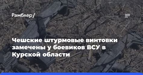 Чешские штурмовые винтовки замечены у боевиков ВСУ в Курской области Рамблер новости