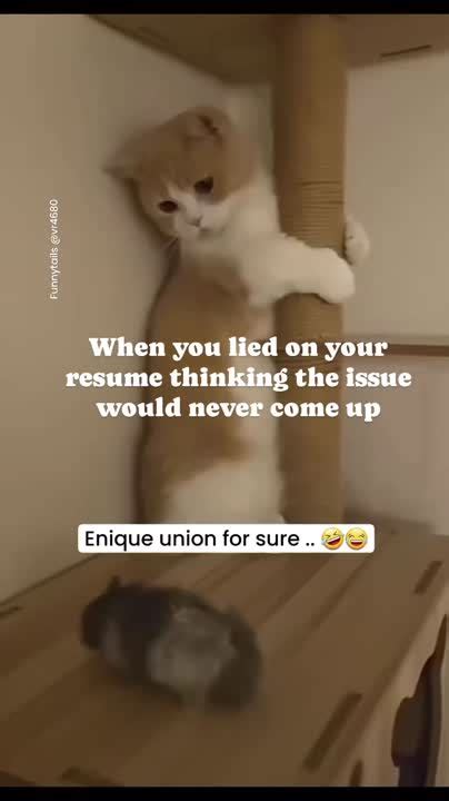 Heine Nzumafo On Linkedin Scrum Agile Internship Scrummaster Job Training