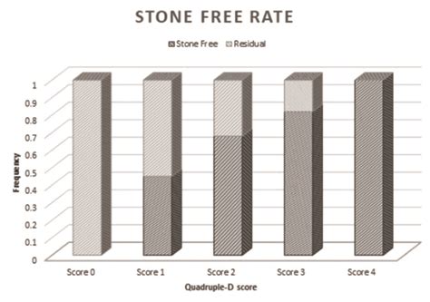The Age Sex Bmi Laterality Of The Stone And Skin To Stone Distance