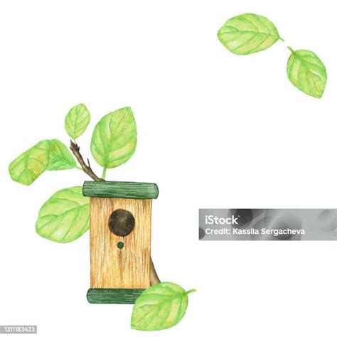 흰색 배경에 고립 된 잎이있는 수채화 새집 가지 나무 새 집의 손 그림 그림 공간을 복사합니다 수채화에 대한 스톡 벡터 아트 및 기타 이미지 Istock
