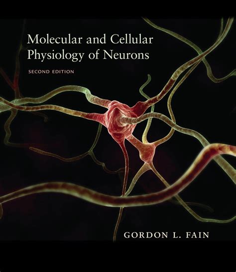 Neuron Brain Fifth Edition