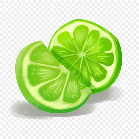 라임 일러스트 과일 녹색 라임 클립 아트 라임 과일 Png 일러스트 및 Psd 이미지 무료 다운로드 Pngtree