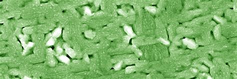 Spatial Atomic Layer Deposition Lmgp