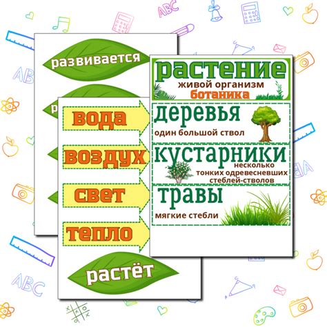 Растения Наглядность для уроков окружающего мира 1 класс