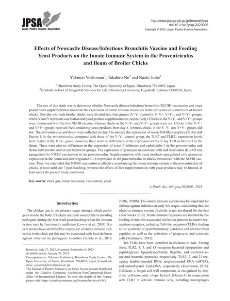 Pdf Effects Of Newcastle Diseaseinfectious Bronchitis Vaccine And Feeding Yeast Products On