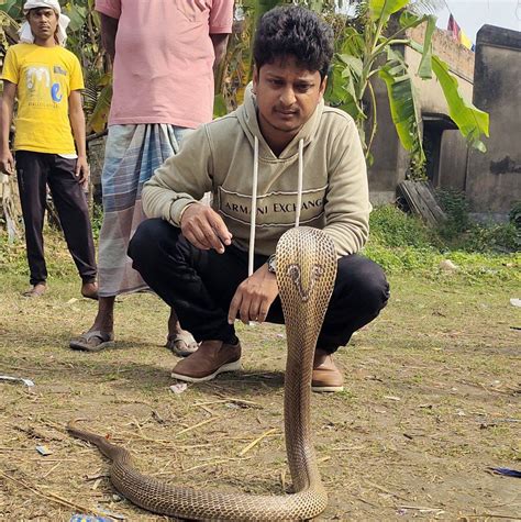 তারকেশ্বরের মধ্যেই বাজিতপুর চৌমাথার সামনেই একটি সাপকে গামলা বন্দী করে রাখা হয় আমাদের ফোন