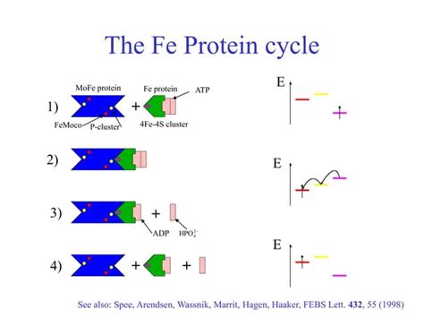 Heterogeneous Catalyst Opportunity And Challengesppt