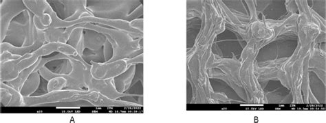 Scaffolds Printed In TPMS Gyroid Form With The Filament Of PCL A Download Scientific Diagram
