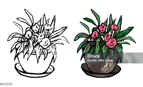손으로 그린 벡터 그림 흰색으로 격리된 윤곽및 색상 도면 집합입니다 냄비에 꽃 집 디자인 카드 인쇄 포스터에 대한 요소 빈티지 조각 스타일 식물 스케치 0명에 대한 스톡