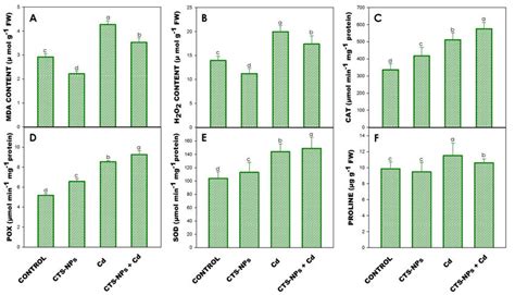 Effect Of Foliar Application Of Chitosan Nanoparticles Cts Nps On The Download Scientific