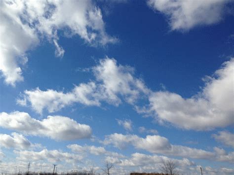 Tricia Fuglestad S Blog Dryden Art