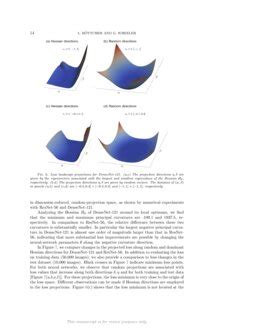 Visualizing High Dimensional Loss Landscapes With Hessian Directions