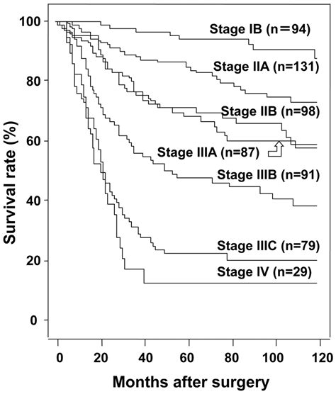 Gastric Cancer Staging