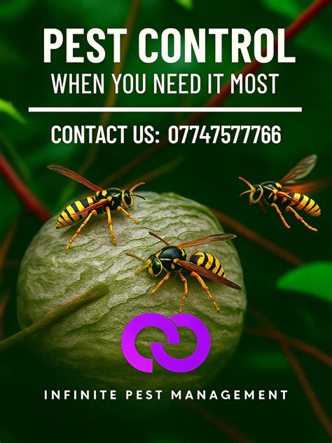 Infinite Pest Management Birmingham