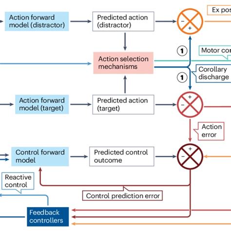 Conceptual Framework For Action Error Computation The Available