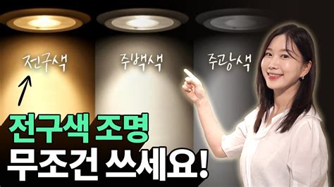 조명 색상 종류 전구색 주백색 주광색 다운라이트의 종류 새아파트 조명 시공 총정리💡 플리커프리 조명 색온도 Youtube