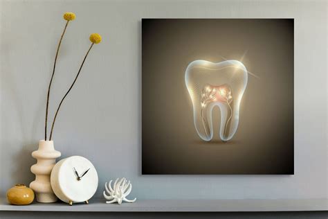 Шүдний бүтэц