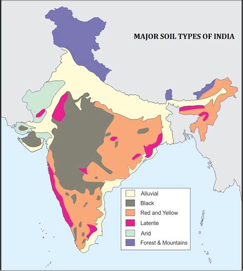 Mark The Major Soil Types In India In A Political Mapa And Write Any Mark The Major Soil Types In India In A Political Mapa And Write Any