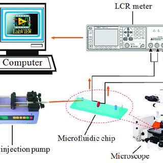 The Relationship Between Excitation Frequency And Impedance Signal Download Scientific Diagram