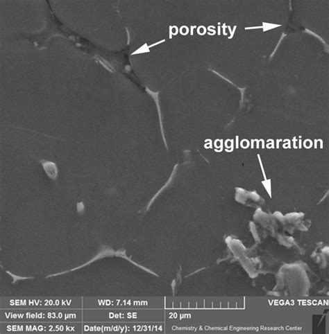 an sem image of the microstructure of cast composite containing 2 25