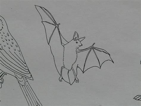 페이지 색칠하기 어린이 상상하다 공원 숨겨진 물건 수색 착색 페이지 그림 무늬 디자인 귀엽다 Pikist