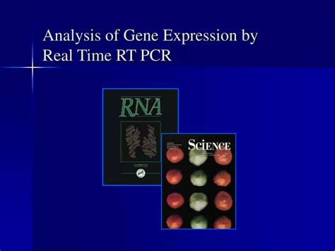 Ppt Analysis Of Gene Expression By Real Time Rt Pcr Powerpoint