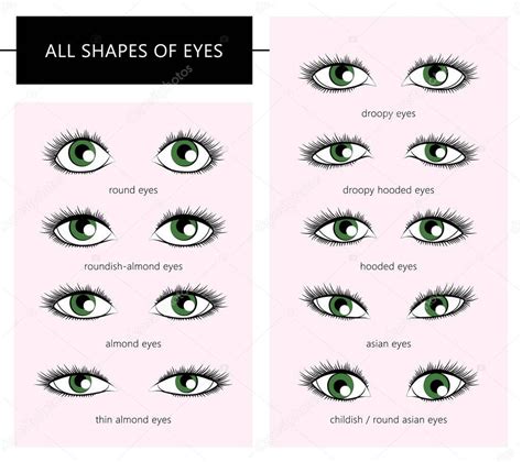 Shapes Of Eyes Artofit
