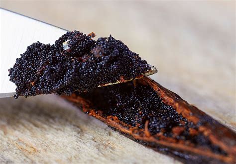 Inside Vanilla Beans