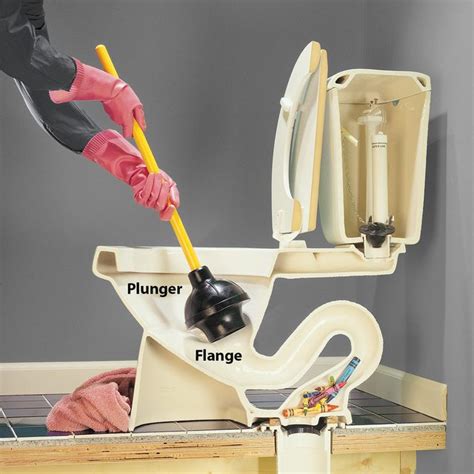 How To Plunge A Toilet With A Plunger At Veronica Stoddard Blog