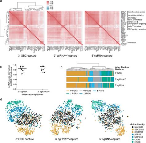 Perturb Seq Crop Seq