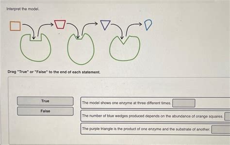 Solved Interpret The Model Drag True Or False To The